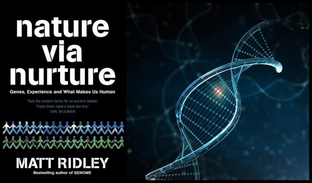 Nature via Nurture: Genes, Experience and What Makes us Human | by ...