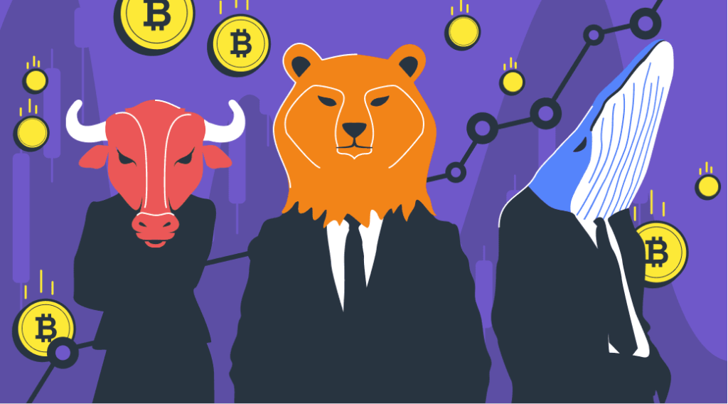 What is a bear raid and how do whales use them in crypto trading? | by ...
