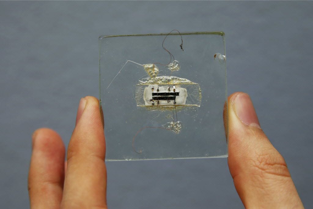 Human Microchipping. History | by Owen Hill | Medium