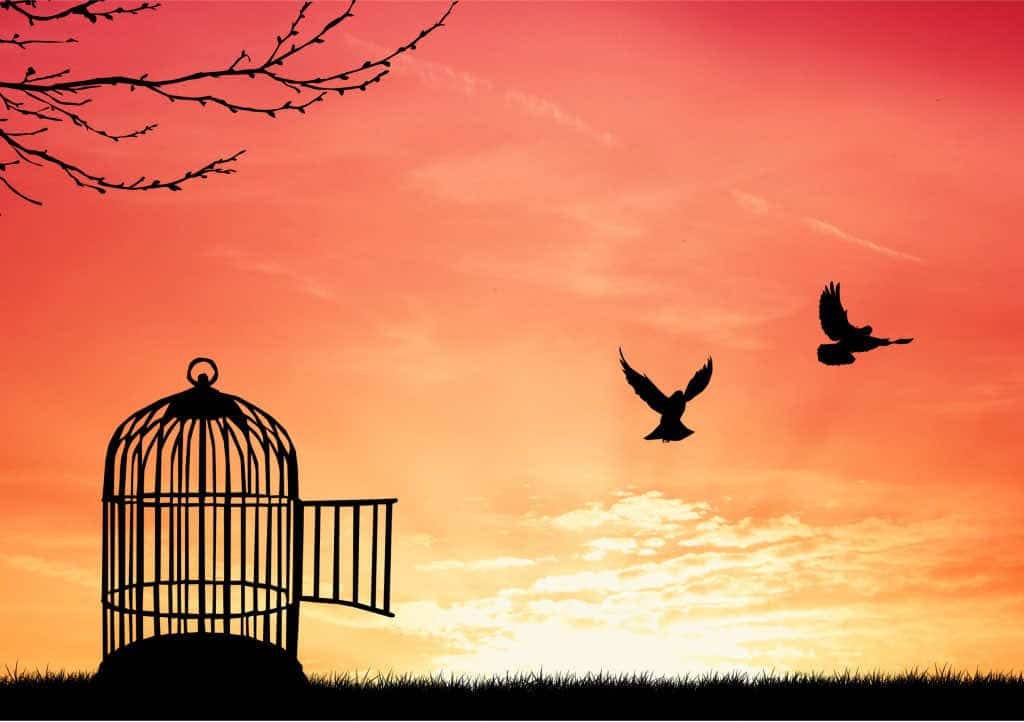 Self-Liberation: Breaking Free from Negativity and Living for Yourself ...