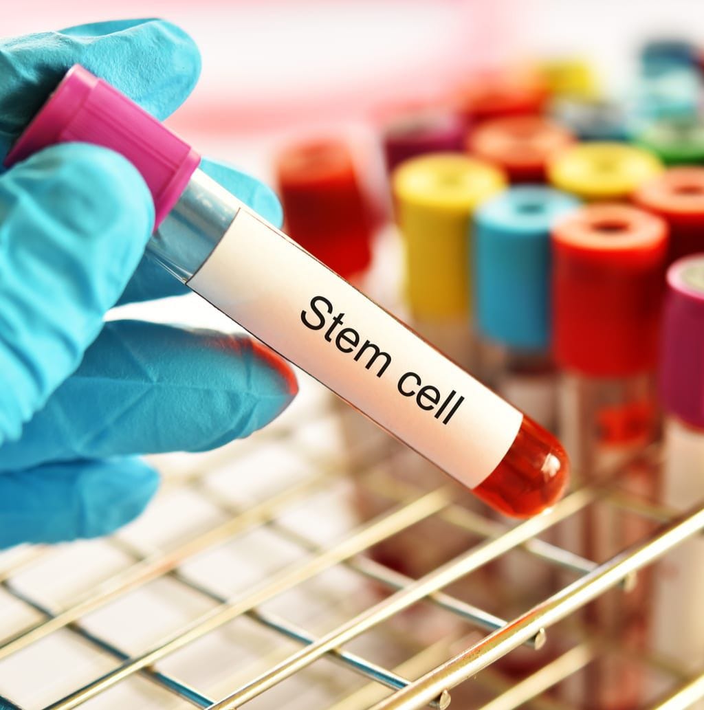 Stem Cell/Cord Blood Banking Market Insights & Opportunity Evaluation ...