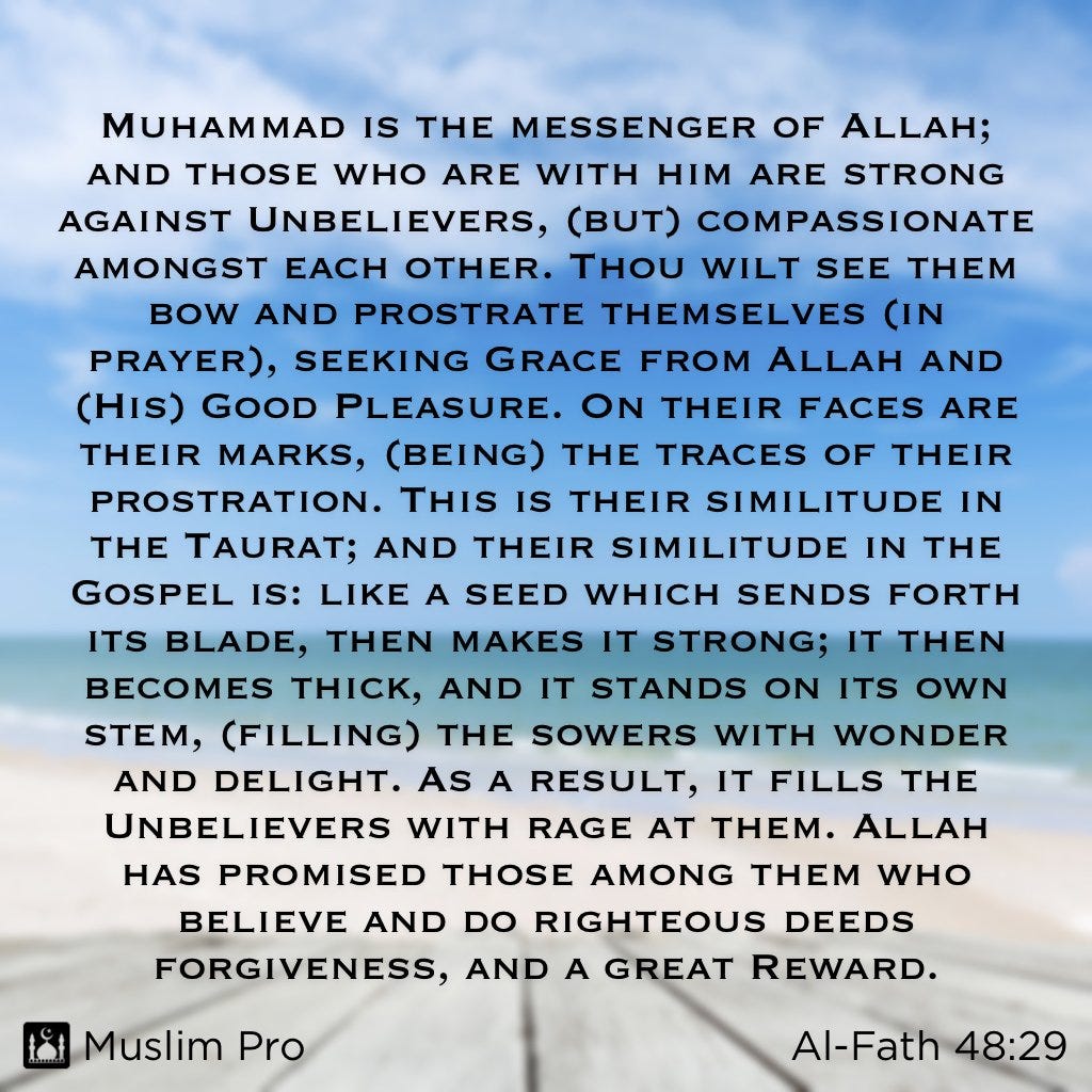 The verse you provided is from Surah Al-Fath (The Victory ...