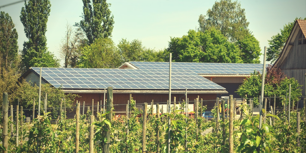 Solar Power- How Does It Save The Environment | by Downtown Homestead ...