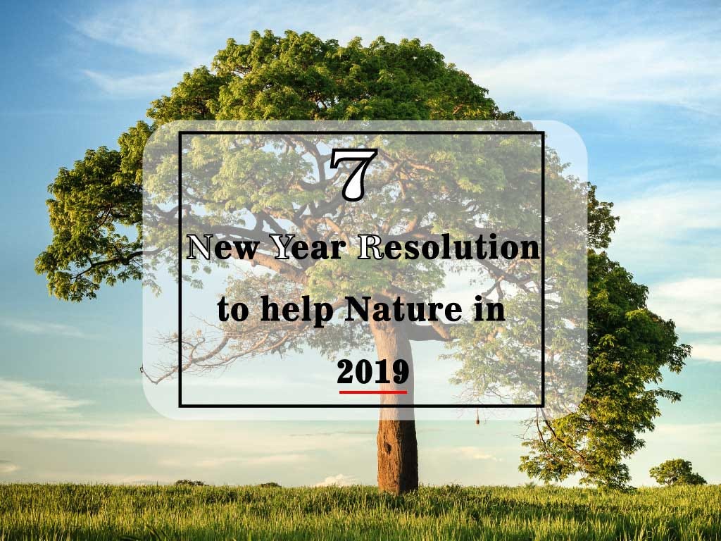 7 New Year Resolutions To Help Nature In 2019 | by John Taylor | Medium