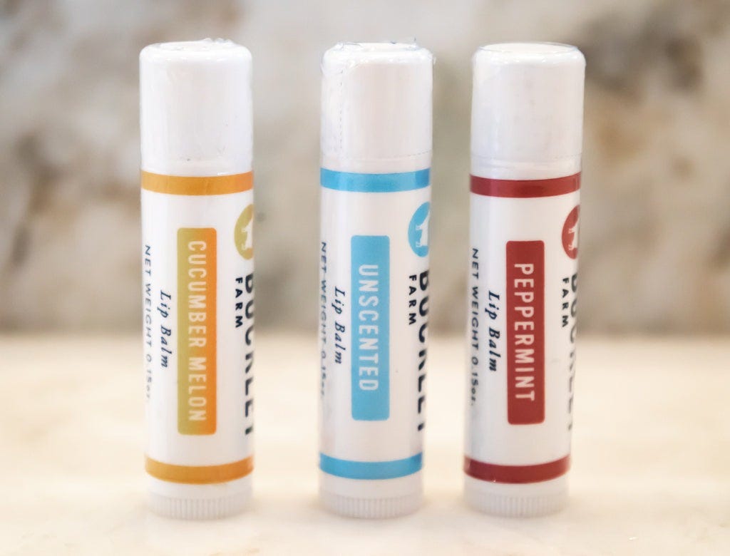 France Lip Care Products Market Share Size 2024 2032 Top Brand
