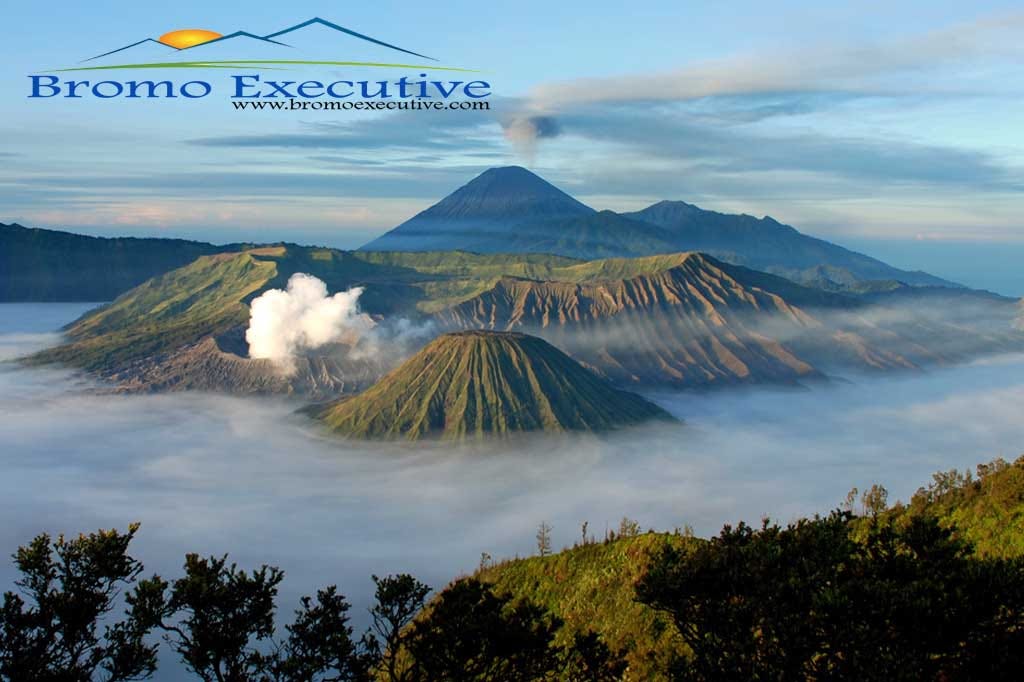 Bromo Tour Travel Package. Bromo Midnight Tour Package | by Bromo ...