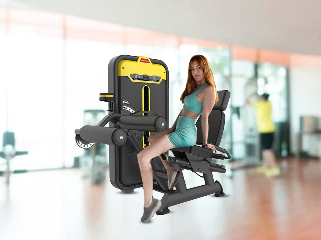 The Ultimate Guide to Wholesale Gym Equipment for Your Fitness Facility ...