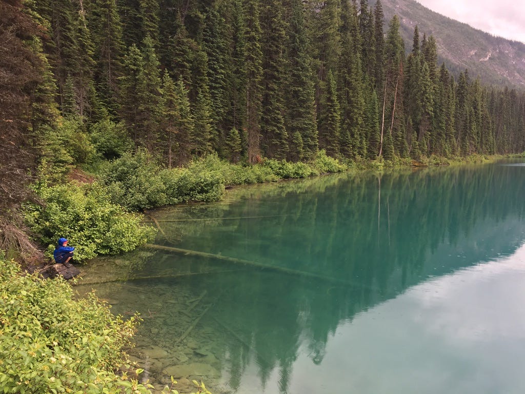 Isolation Plan: Camping with Family for Four Months | by Luke Naughton ...