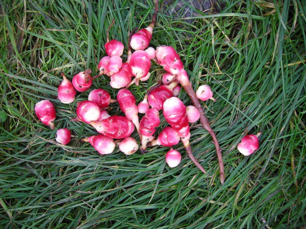 A fresh start. My mind is still crawling out of its… | by Kayla ...