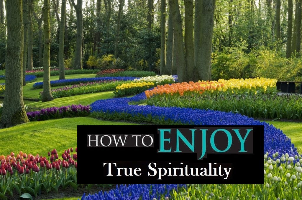 Your Path to Living in True Spirituality | by Dr Michael Heng | Heart ...