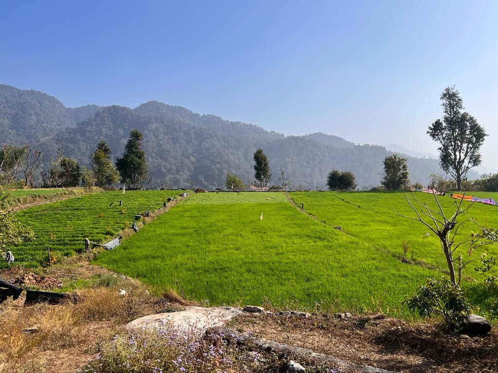 Discover the Best Plots and Land for Sale in Kotabagh with Silyify ...