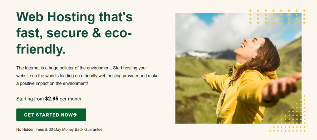 Greengeeks Review Empowering Your Eco Friendly Web Hosting Journey