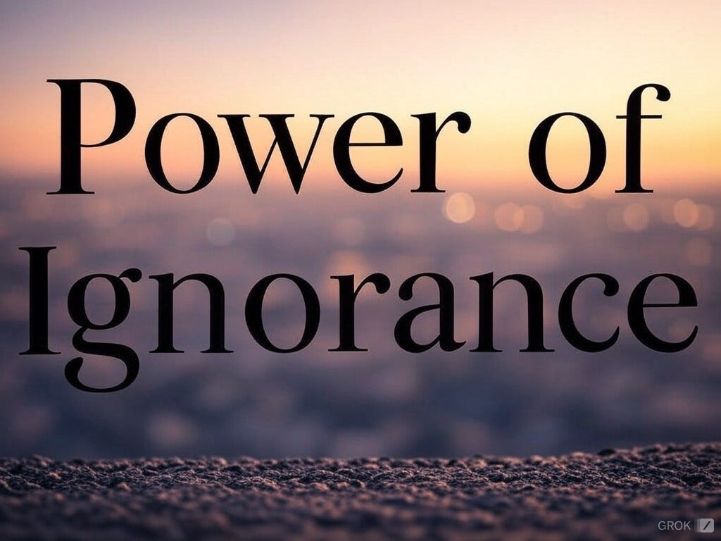 Power of Ignorance. The light at the end of the tunnel | by Lara♡ | Dec ...