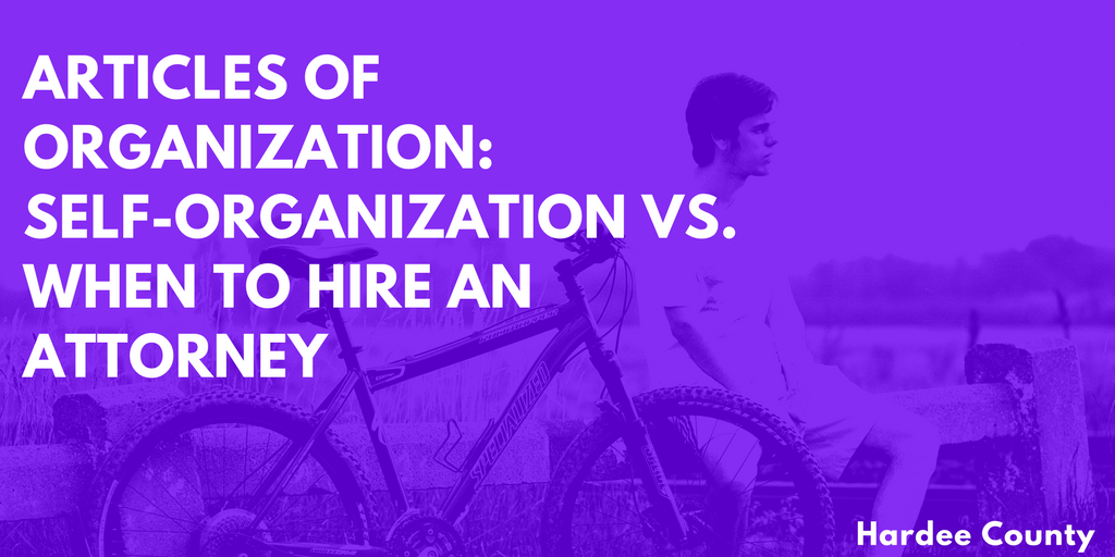 Articles of Organization: Self-Organization vs. When to Hire an ...