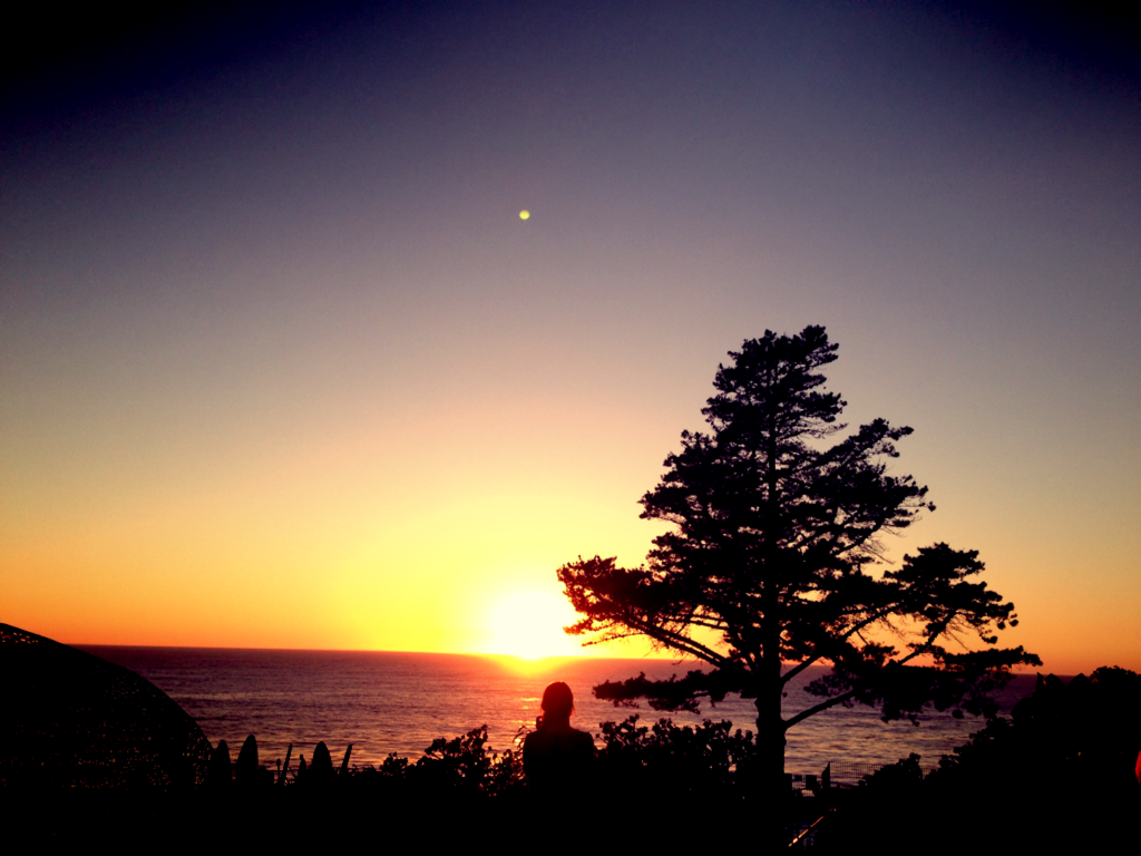 Enchanting Big Sur. Have you ever experienced something so… | by Janice ...
