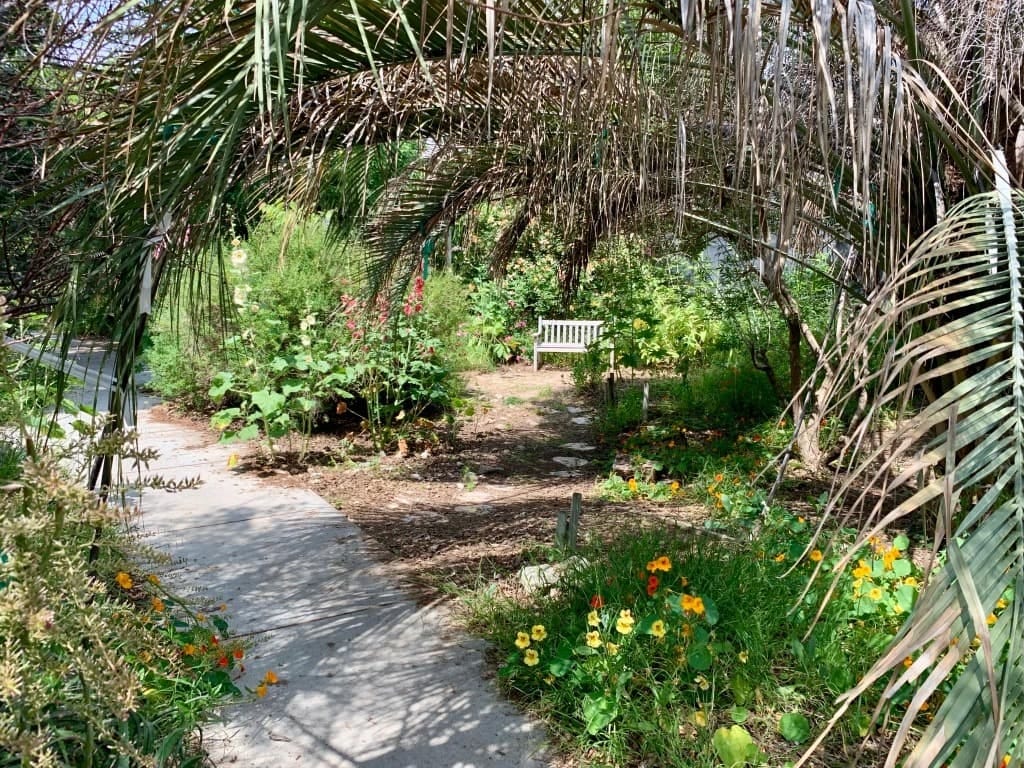 Discovering Northridge’s Urban Green Space: A Day at the CSUN Botanic ...