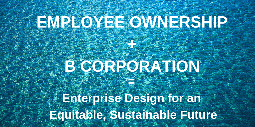 The Employee-Owned B Corp: An Enterprise Design for the 21st Century ...