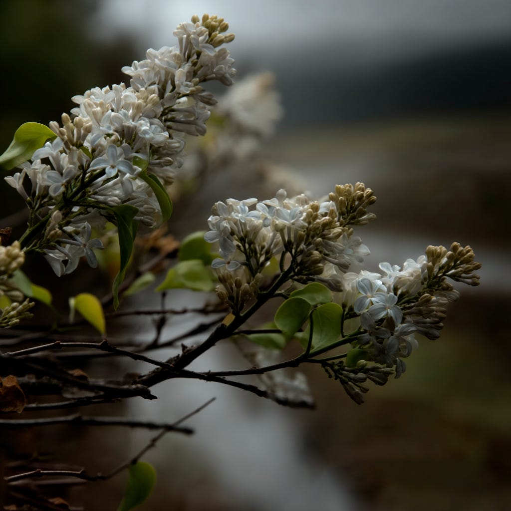 Going All Out. By Michael Erlewine | by Michael Erlewine -- Archivist ...