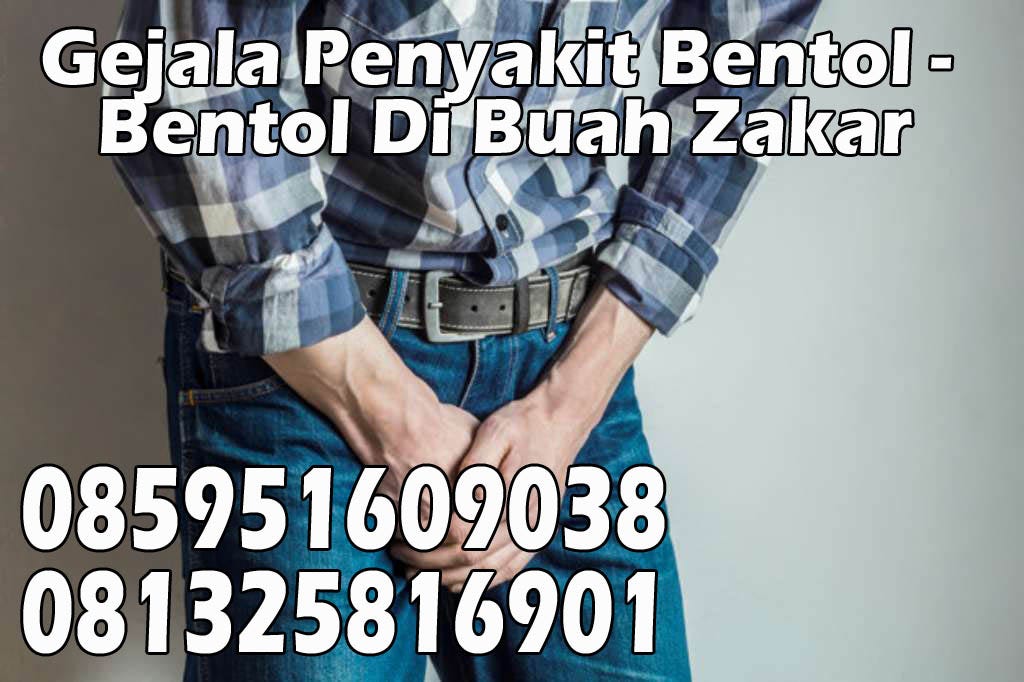 Muncul Bentol Di Buah Zakar Dan Di Kepala Penis | by Tamadwi | Medium