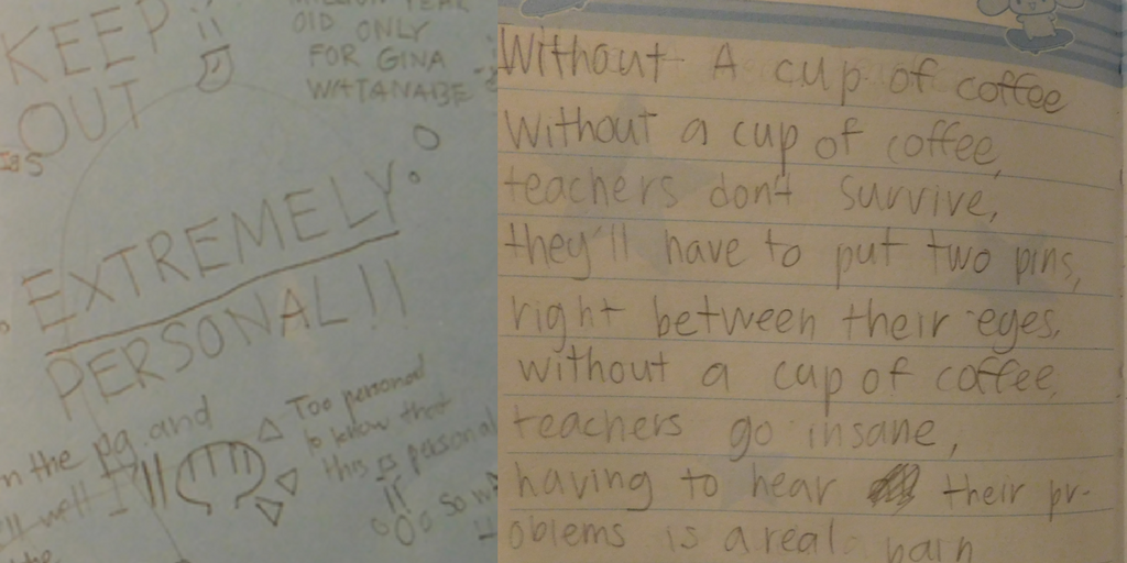 Finding my 9-Year Old Diary. And what it means for teachers. | by Gina ...