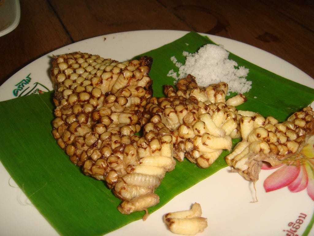 Bee Larvae Delicacy
