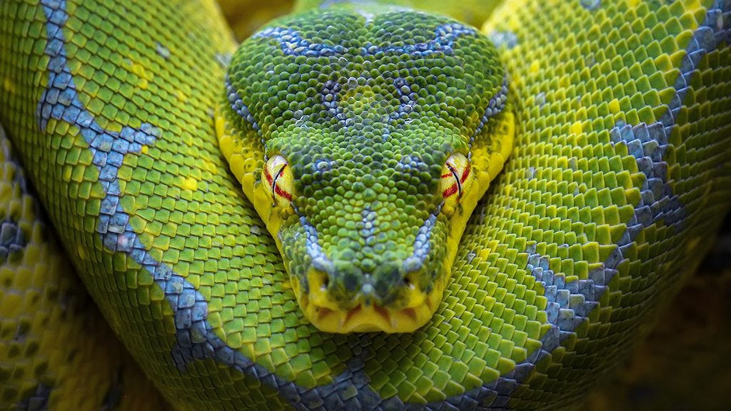 Advanced Python Concepts: Enhancing Your Codebase | by DataMount | Medium