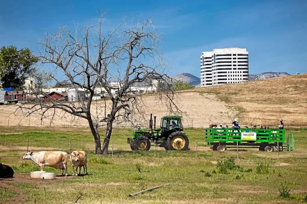Seasonal Events You Can’t Miss at Woodland Hills’ Pierce College Farm ...
