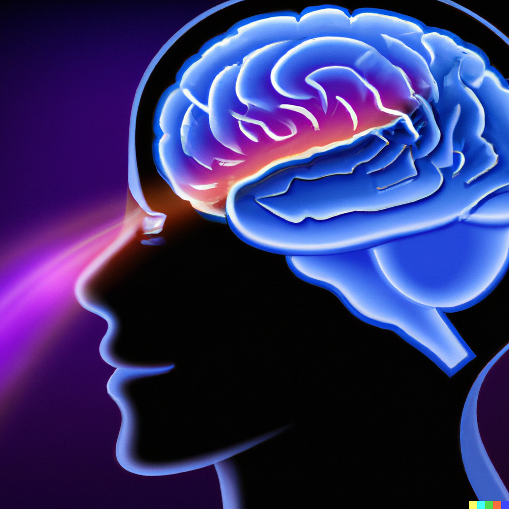 The Primacy of the Signal: How Sensory Processing Is Driven by the ...