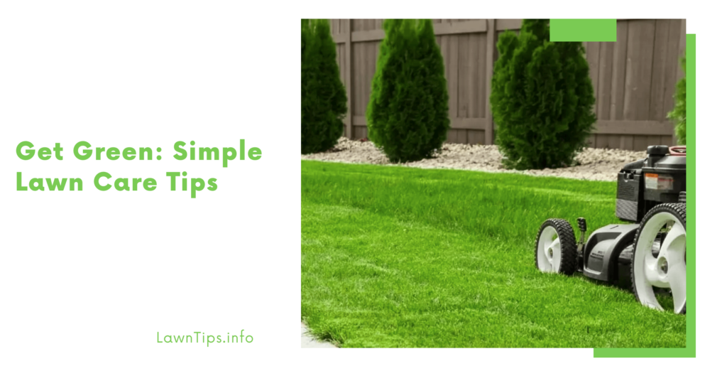 Get Green: Simple Lawn Care Tips — Lawn Tips - Lawn tips - Medium