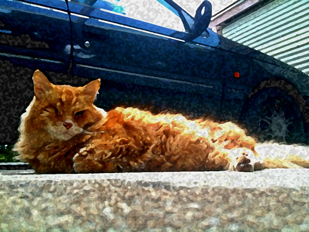 Lunch. Lola’s in the driveway again, and she’s… | by Keith McDuffee ...