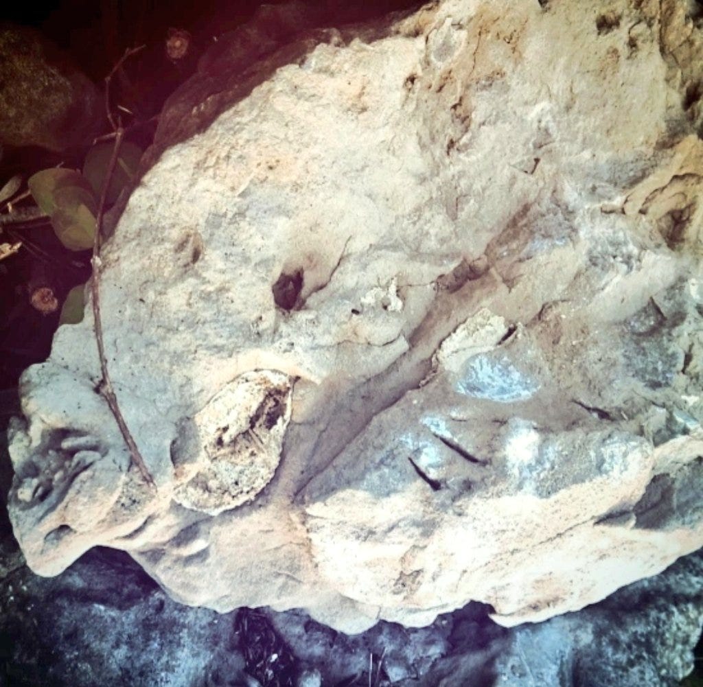 The water-stone was known across the land for its legendary power. One ...
