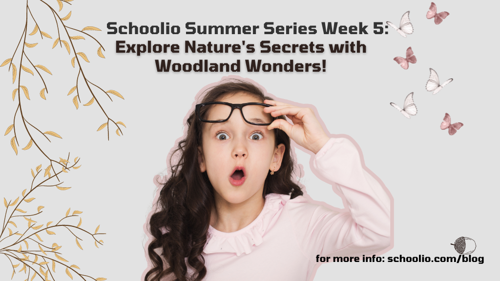 Schoolio Summer Series Week 5 : Woodland Wonders 🌲 | by Sathish Bala ...