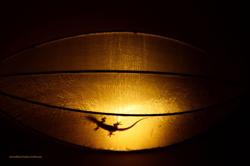 Ariadne’s Thread. A short story | by Anne Harrison | The Junction | Medium