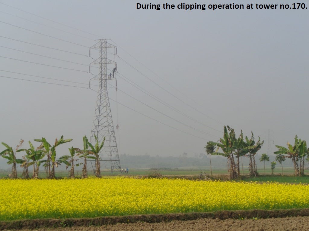Angelique International Limited News — Reconductoring Transmission ...