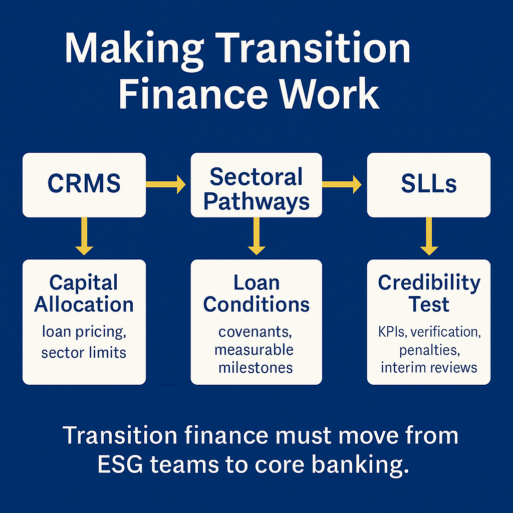 Powering Growth, Cutting Carbon: Why Transition Finance Matters for ...