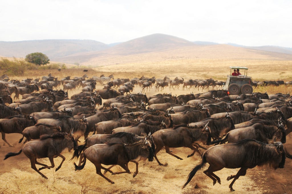 What is Cache Stampede ?. Approaches for Cache Stampede… | by Vaibhav ...