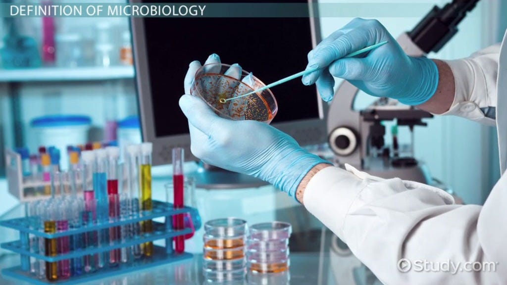 Interesting Facts About Microbiology | by Cullen Ndung'u | The ... Interesting Facts About Microbiology | by Cullen Ndung'u | The ...