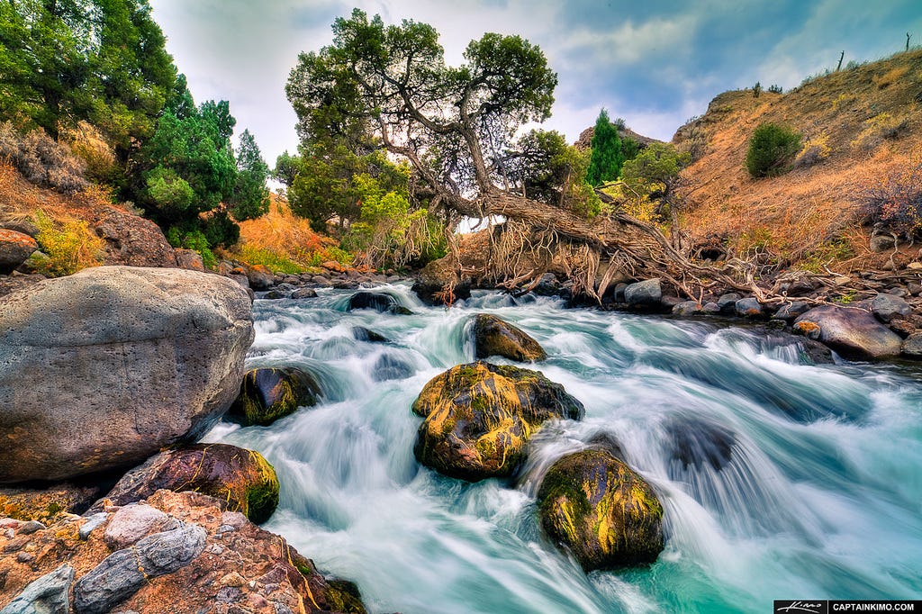 Waterfall Effects of Agile. Tami Reiss is the founder of The… | by Tami ...