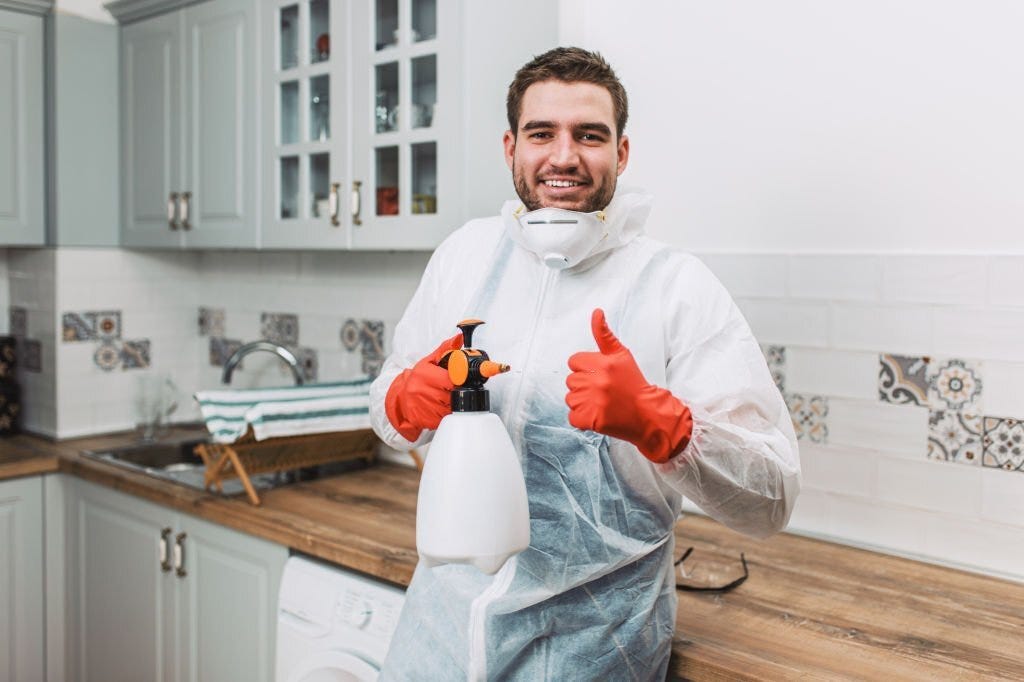 Real Stories of Pest Infestations and Practical Solutions for Effective ...