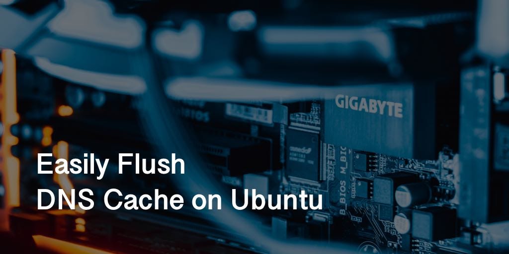 Flush Dns Ubuntu Server At Neida Tracy Blog
