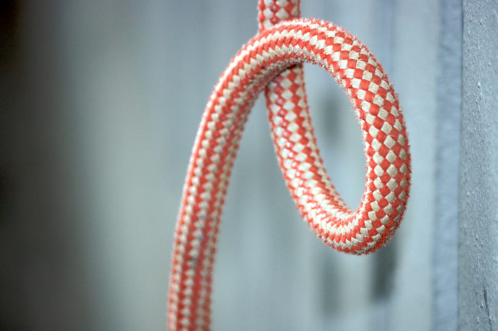 The Virtuous Loop. What could we learn from the leading… | by Petri ...