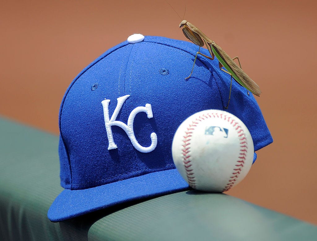 5 W’s — From What to Why: Look Out; Here Come the Royals | by Casey ...