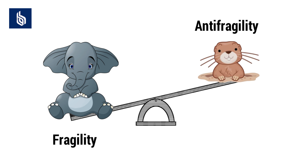 Antifragility and Blockchain — Founders and investors swear by this ...