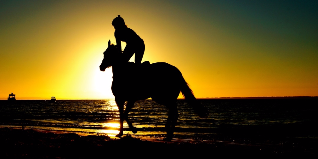 DIGITAL MUMS — I’M BACK IN THE SADDLE | by Alexandra Borthwick | Medium