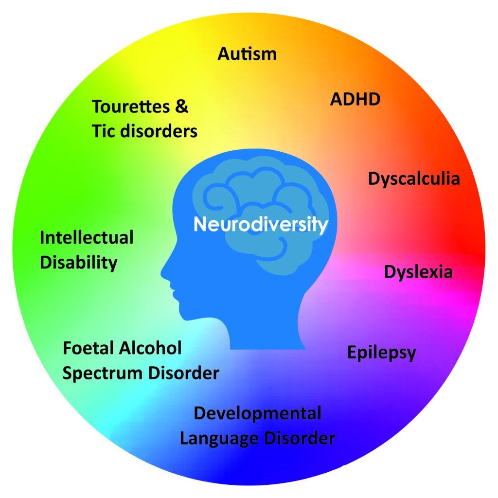 “Embracing Neurodiversity: Understanding Autism as a Unique Neurodivergence”, Lily Speech and ...