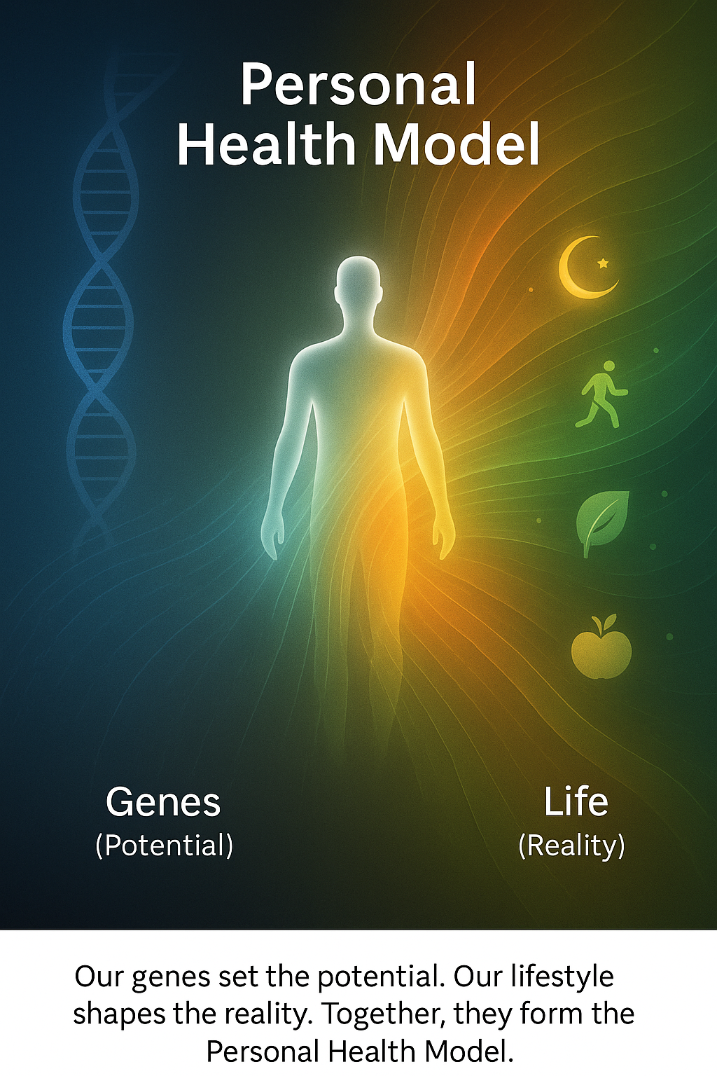 Live Determinants of Health: When Life Itself is the Model | by Ramesh ...