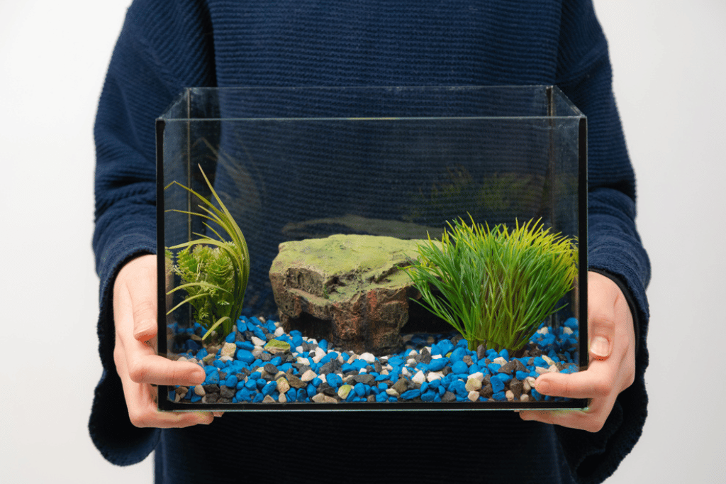Empty Fish Tank Ideas: Transform Your Aquarium! | by Insider Fish | Jul ...