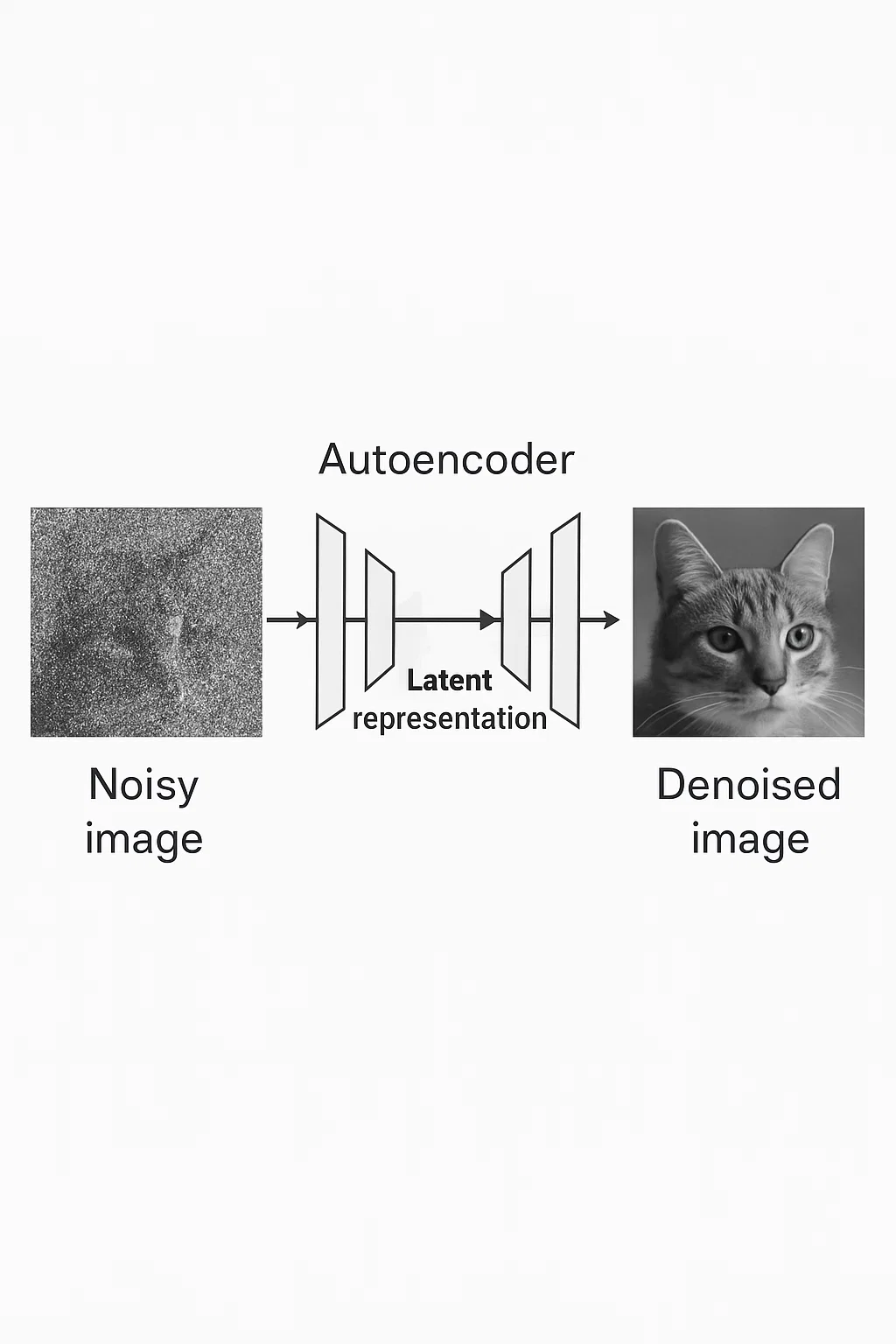 Building an Image Denoiser with a Keras Autoencoder | by Francesco Franco | AI Mind