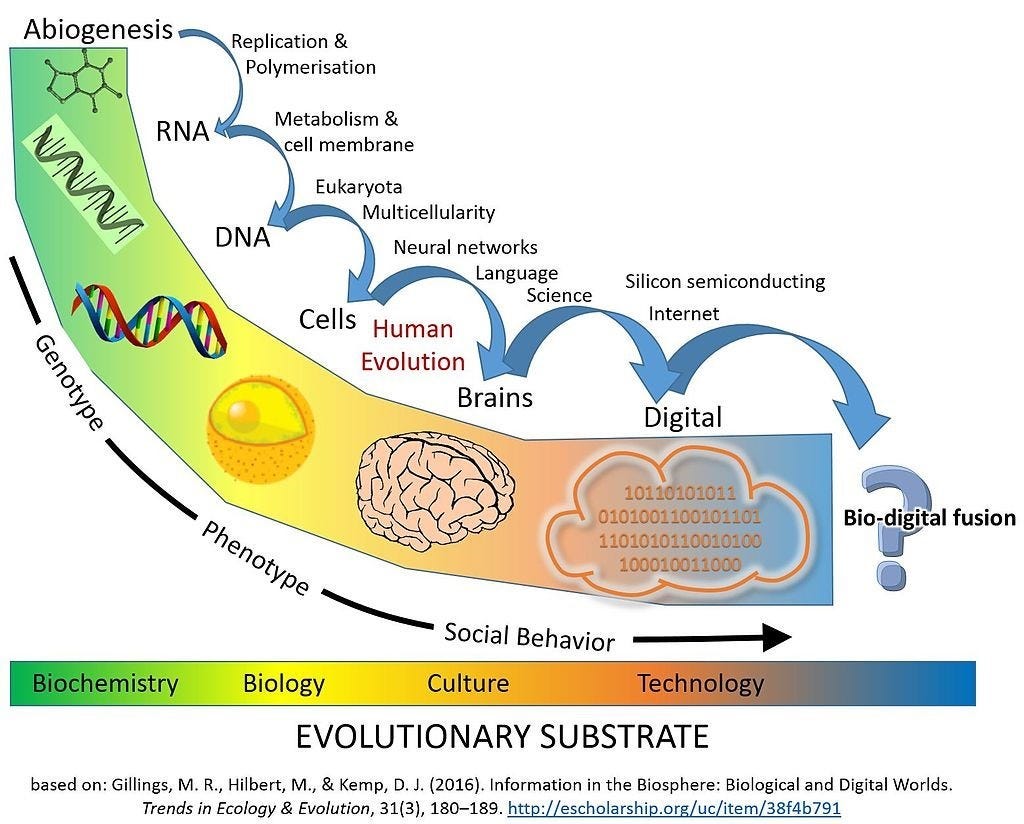 Sociobiological Evolution Beyond Human Boundaries: The Rise of ...