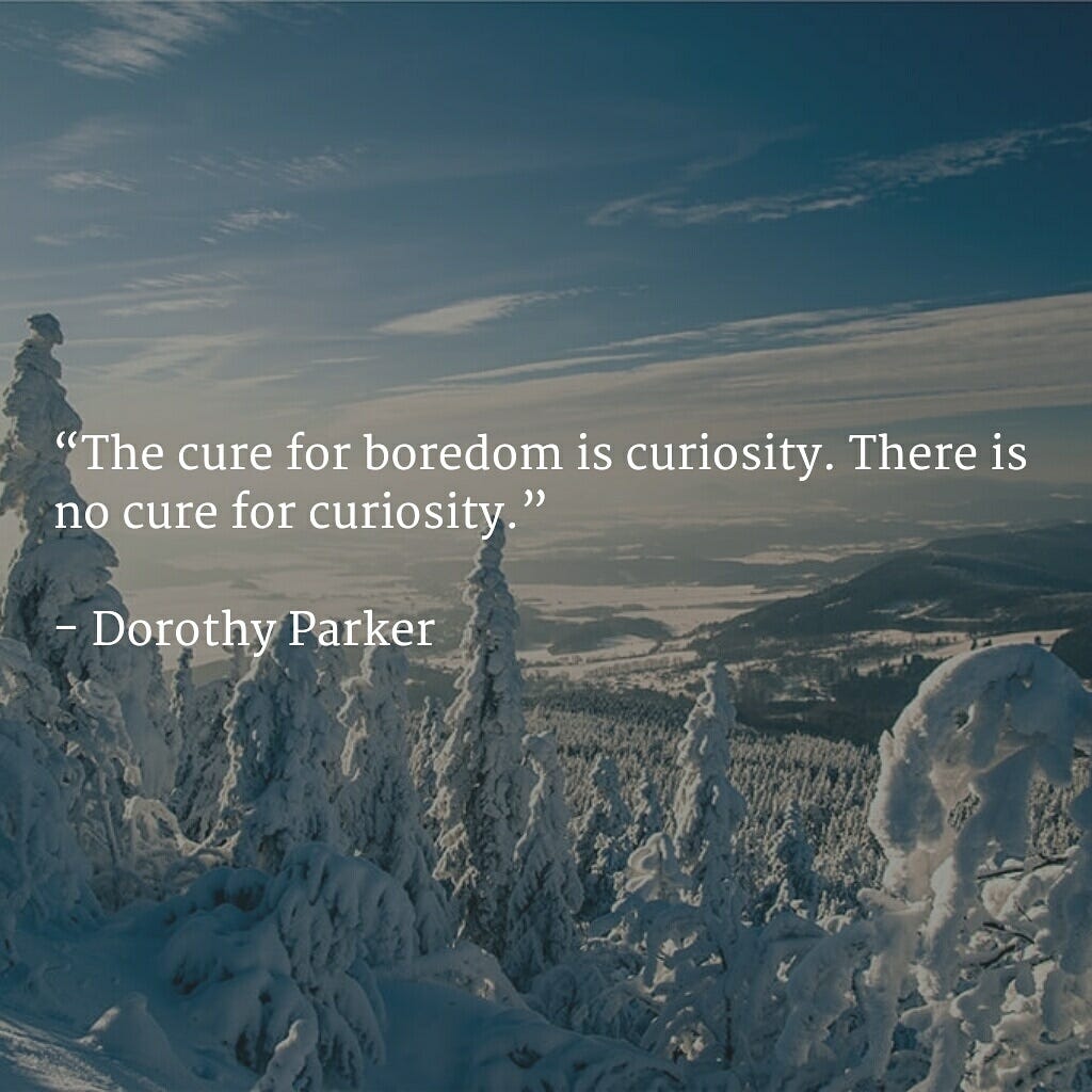 The cure for boredom is curiosity. | by Mahantesh Biradar | Medium